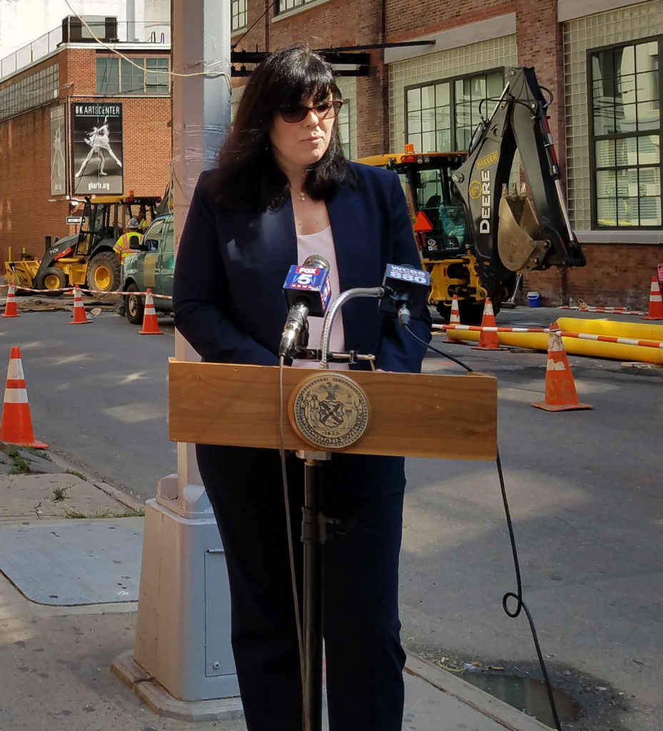 Sarah Carroll Appointed Chair of Landmarks Preservation Commission ...